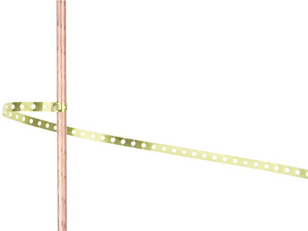 Earth Strap