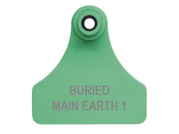 Earth Tags