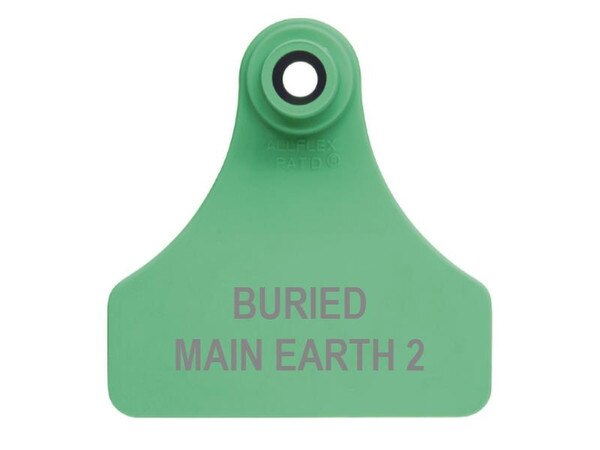 Earth Tags