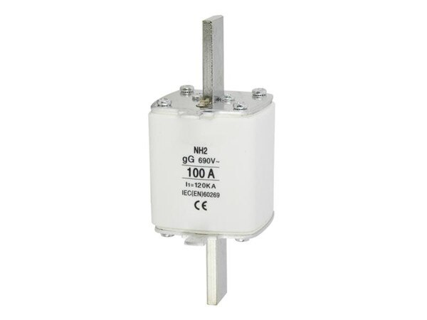 Fuse Link DIN Type Size 2 (NH2)
