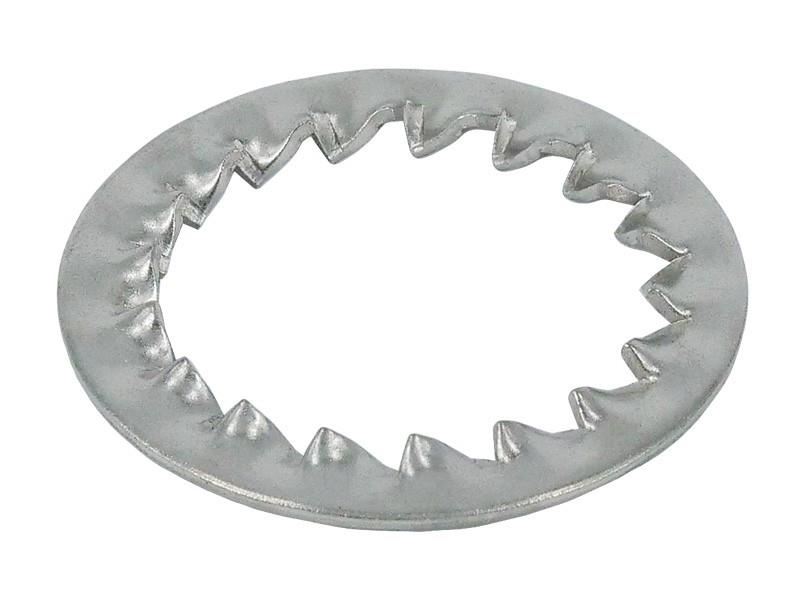 CCG Serrated Washer (SS316)
